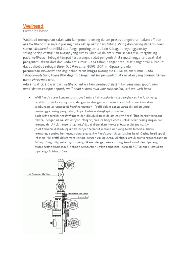 Wellhead | PDF