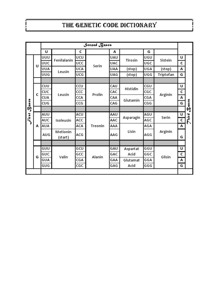Genetics Codes | PDF