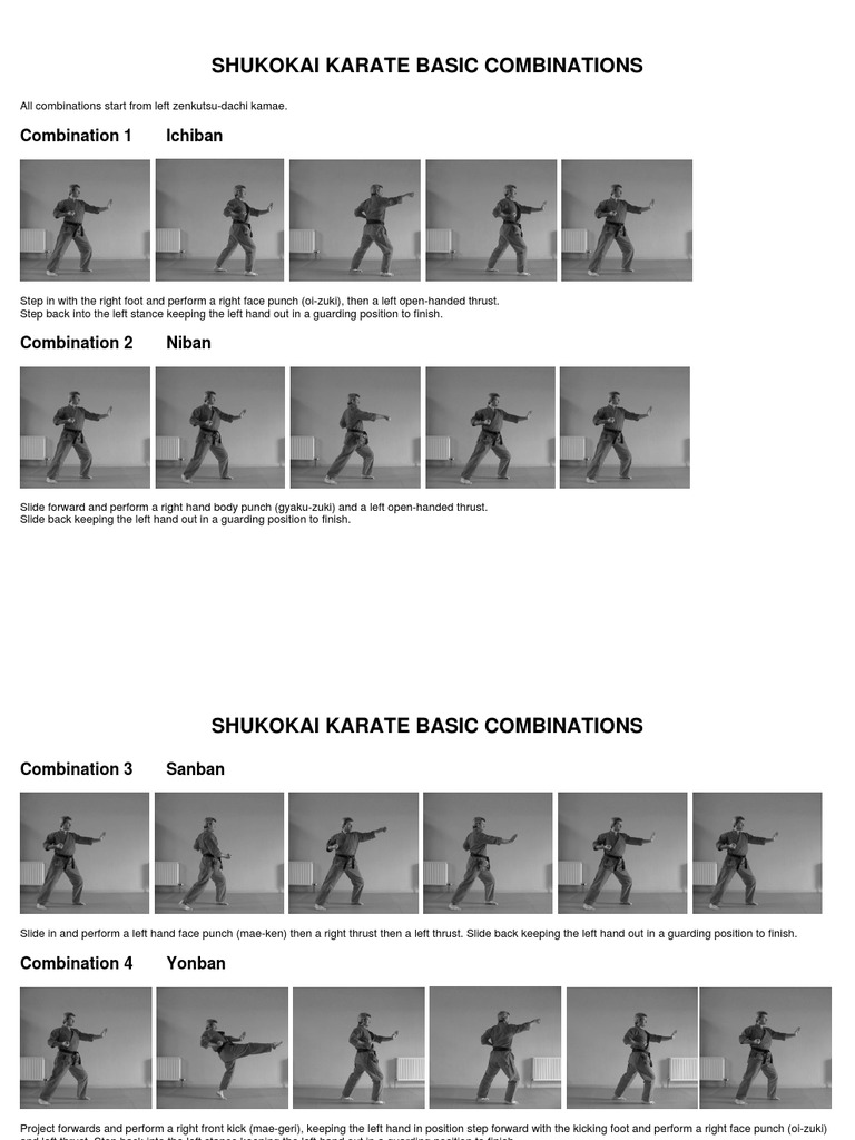 Traditional Shukokai Karate Basic Combinations | Combat Sports ...