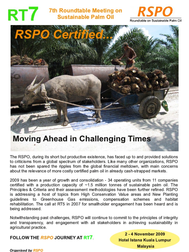RT7 Flyer 1 | PDF
