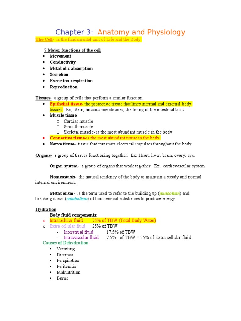 Anatomy and Physiology: The Cell-Is The Fundamental Unit of Life and ...