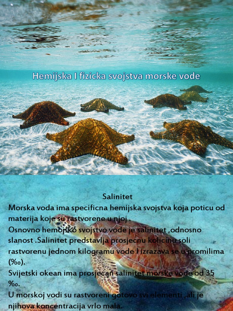 Hemijska I Fizicka Svojstva Morske Vode | PDF