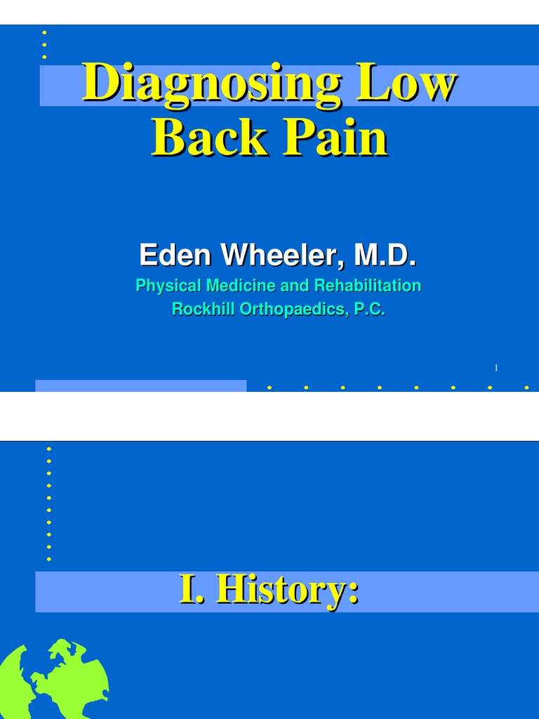 Low Back Pain | PDF
