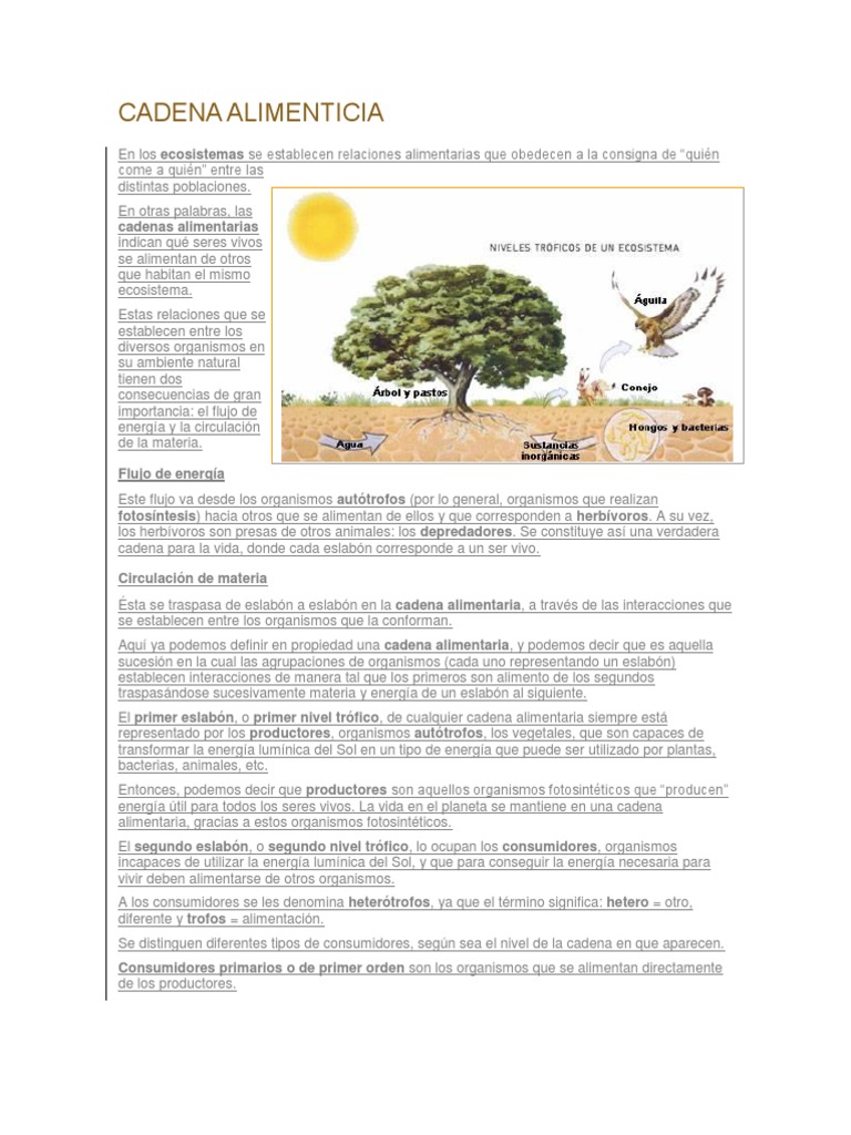 Cadena Alimenticia | PDF | Red alimentaria | Ecología