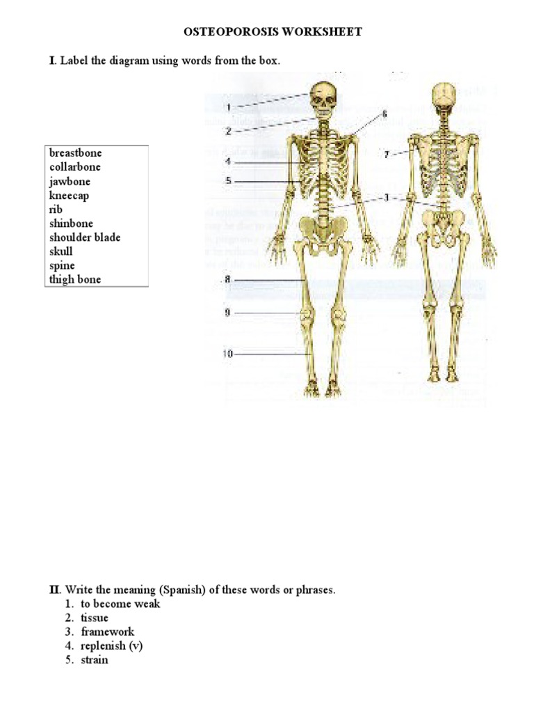 Osteoporosis Worksheet | PDF