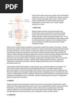 Proses Ingesti dan Digesti Makanan | PDF