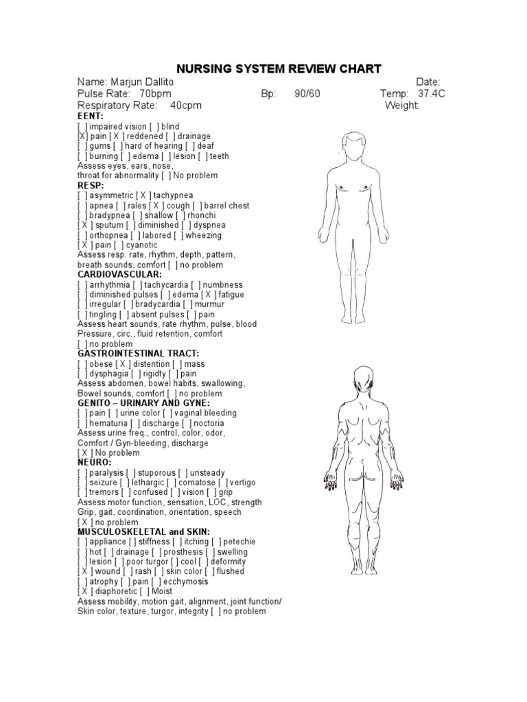 Nursing System Chart | PDF