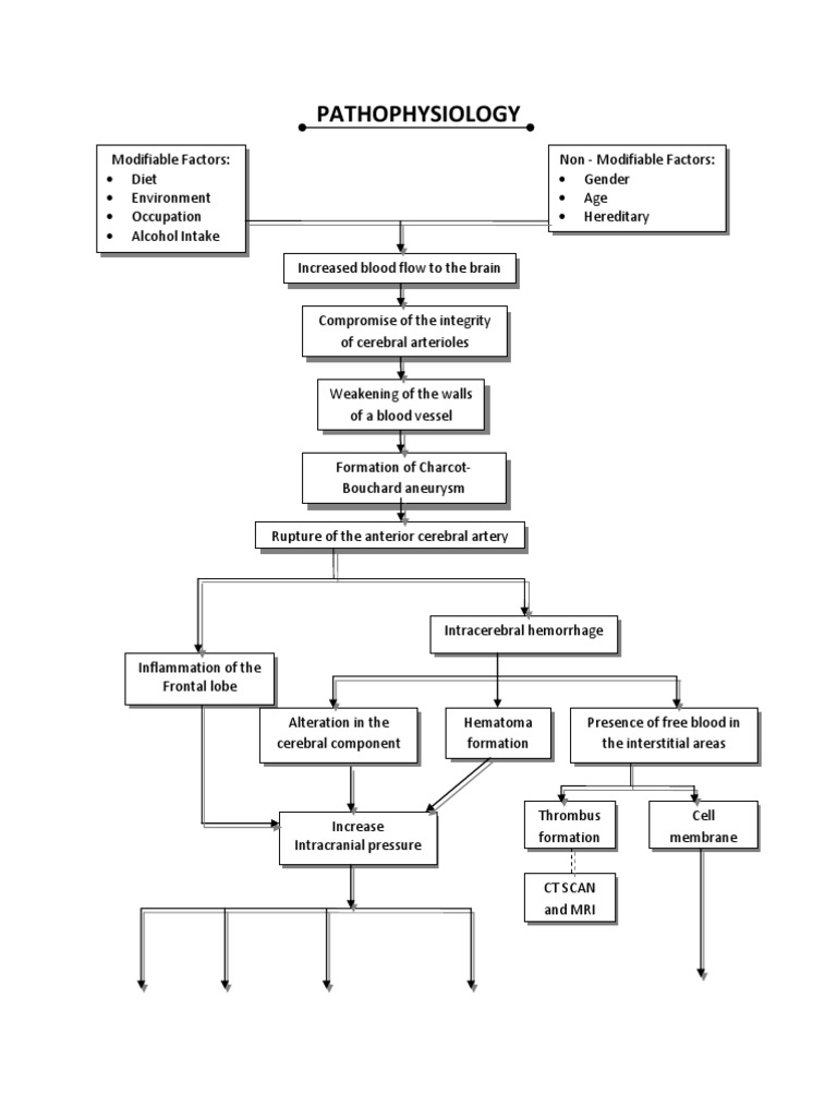 Pathophysiology of Cva-Hpnii-Hemorrhagic Stroke | Stroke | Neurology