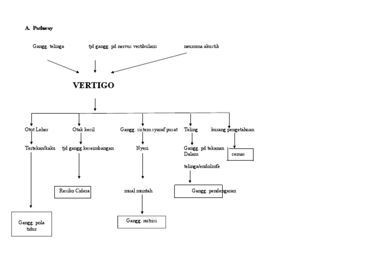 Pathways Vertigo | PDF