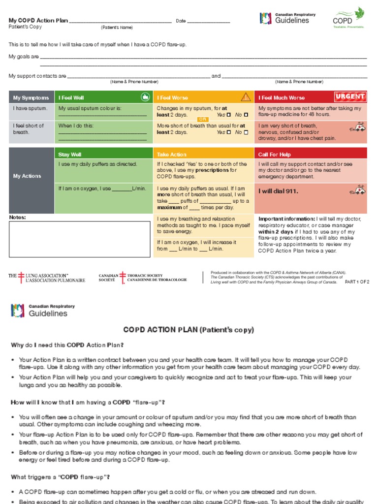 CTS COPD Updated Action Plan Editable PDF | PDF | Chronic Obstructive Pulmonary Disease | Pneumonia