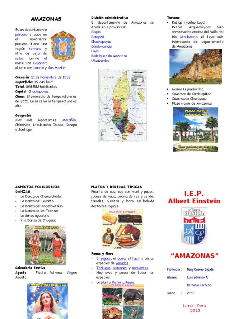 TRIPTICO Amazonas | PDF