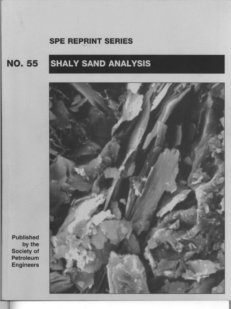 Shaly Sand Analysis Spe Book | PDF