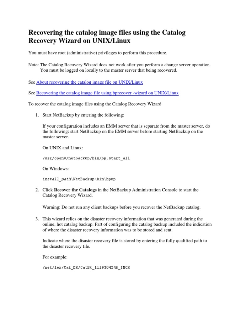 Recovering The Catalog Image Files Using The Catalog Recovery Wizard On ...