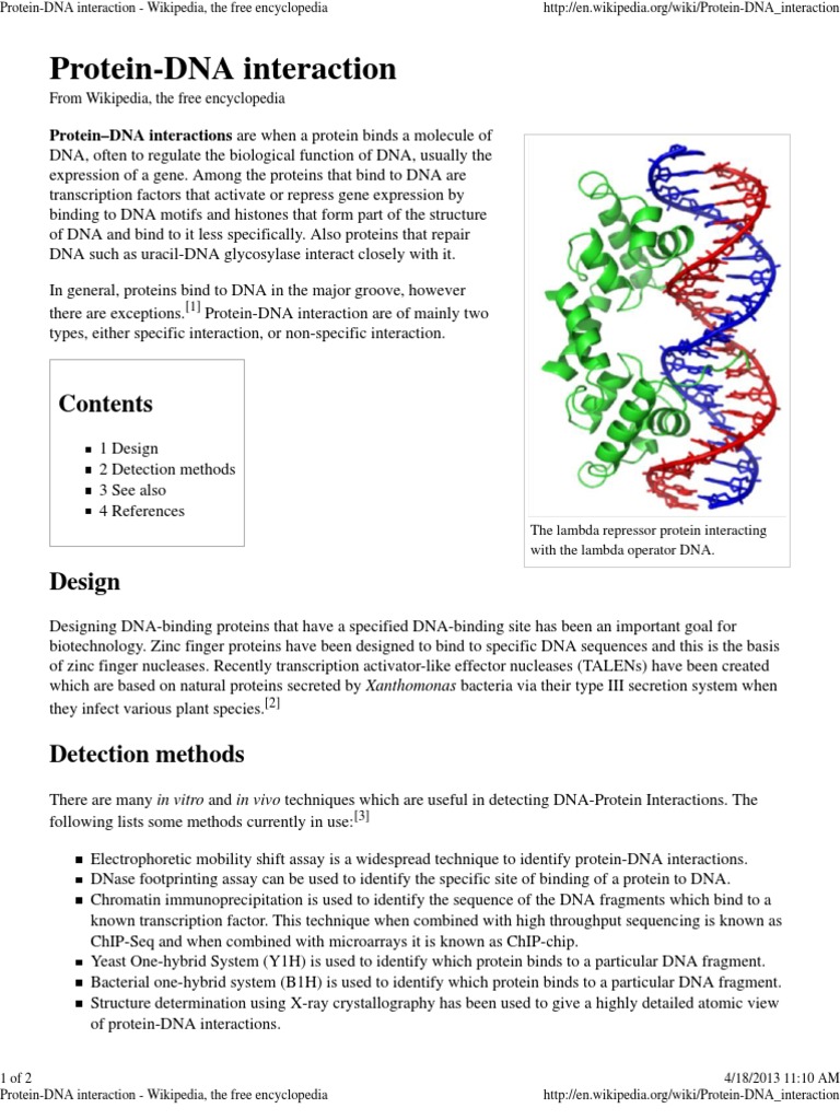 Protein-DNA Interaction - Wikipedia, The Free Encyclopedia | PDF | Dna ...