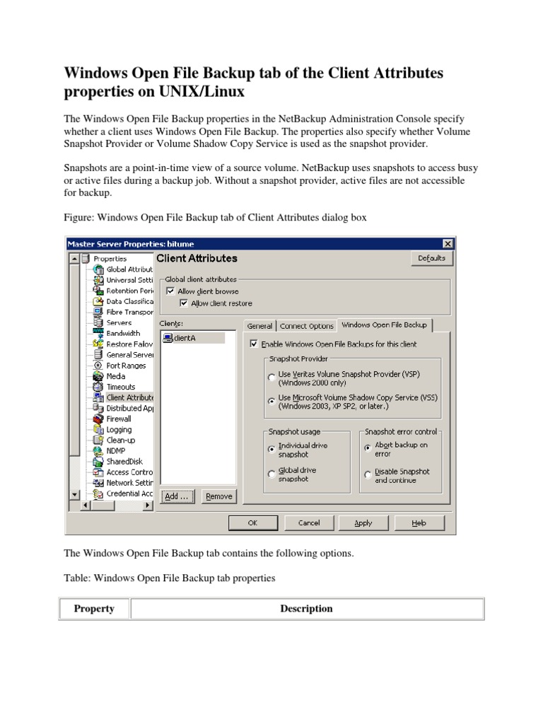 Windows Open File Backup Tab of The Client Attributes Properties On ...