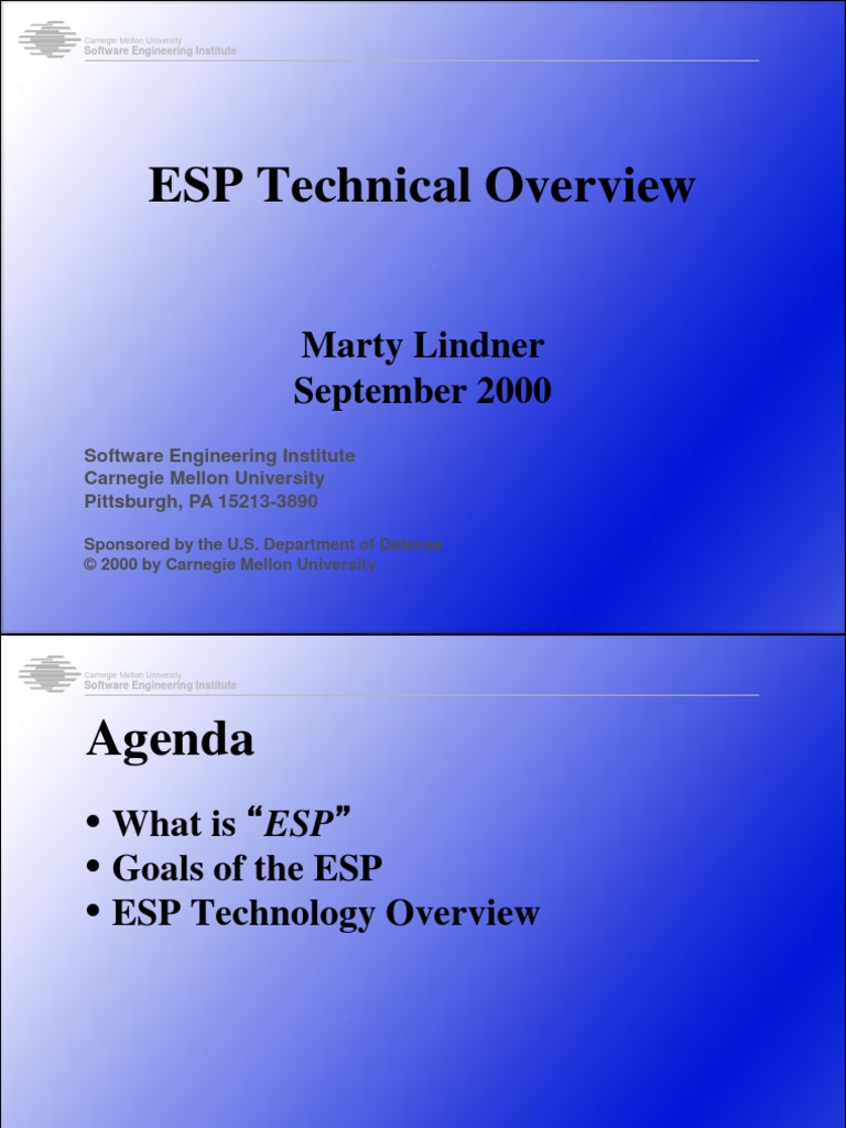 ESP Technical Overview1 | PDF | Transport Layer Security | Firewall ...