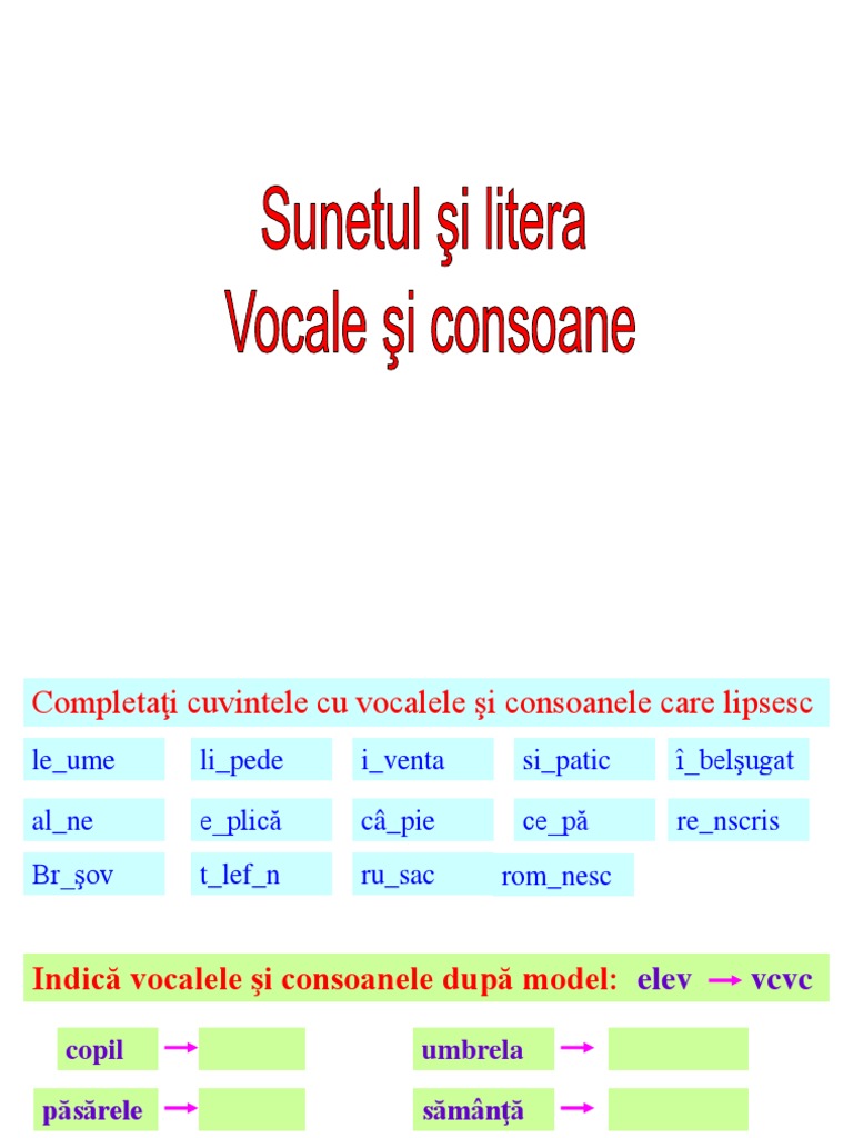 Sunetul Si Litera Vocala Si Consoana | PDF