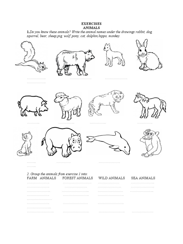 Animal Identification Exercises | PDF