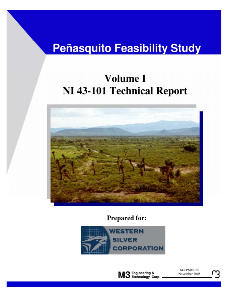 Feasibility Study, M3 | PDF | Mining | Internal Rate Of Return