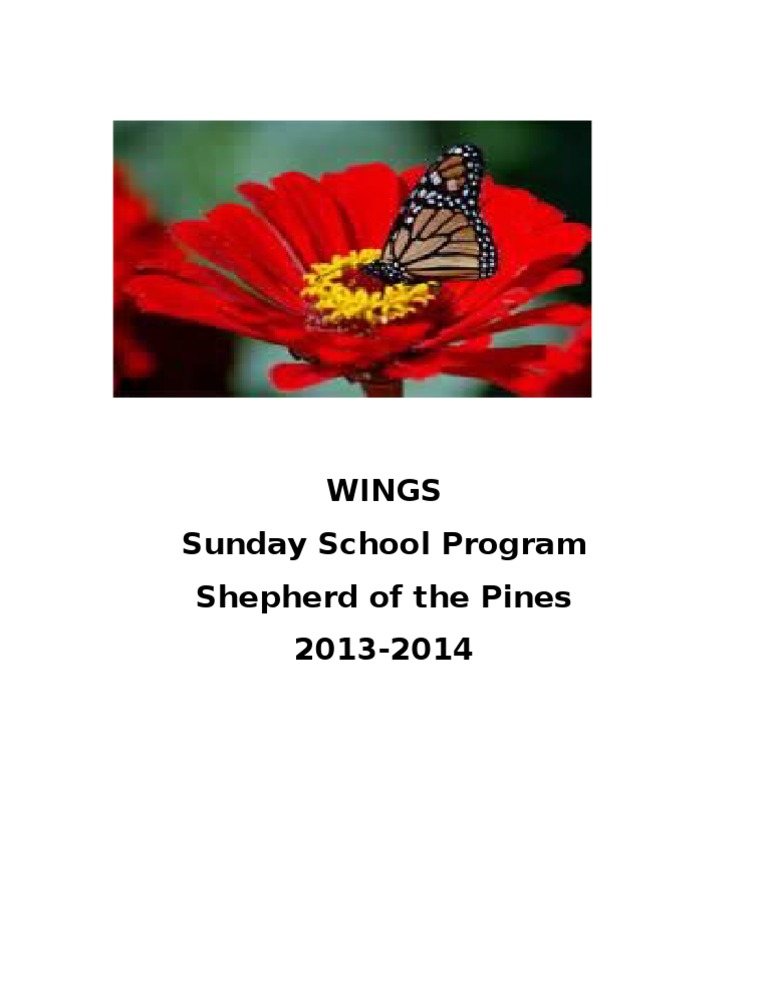 Wings Program | PDF