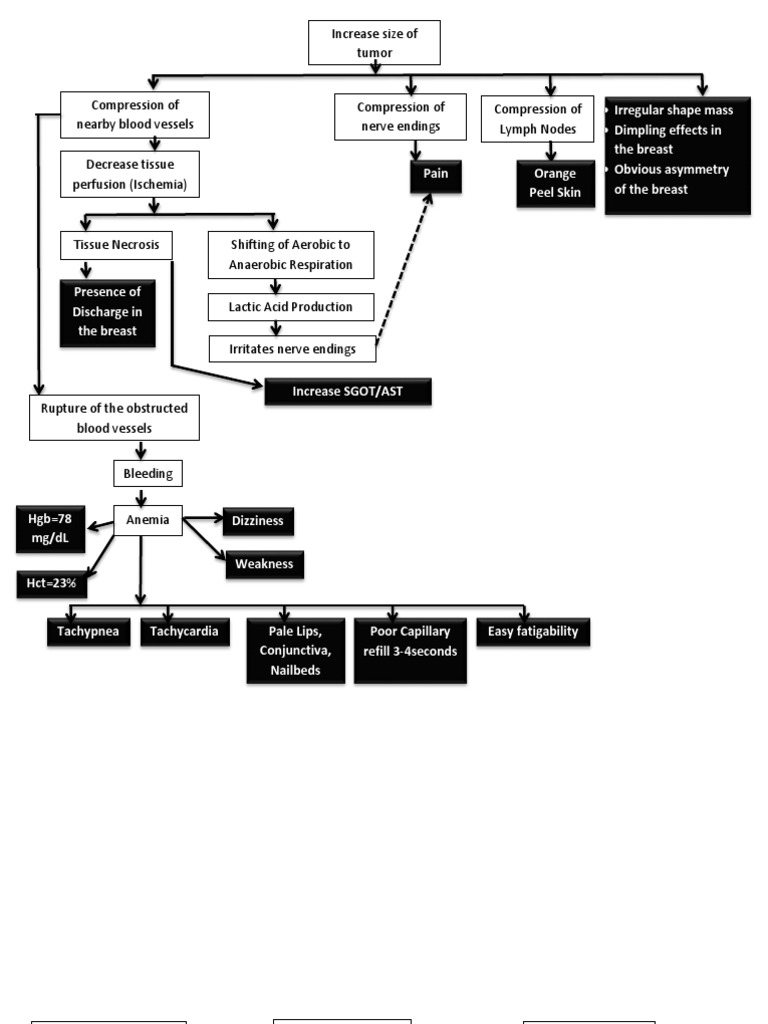 Breast Cancer Pathophysiology | Neoplasms | Cancer
