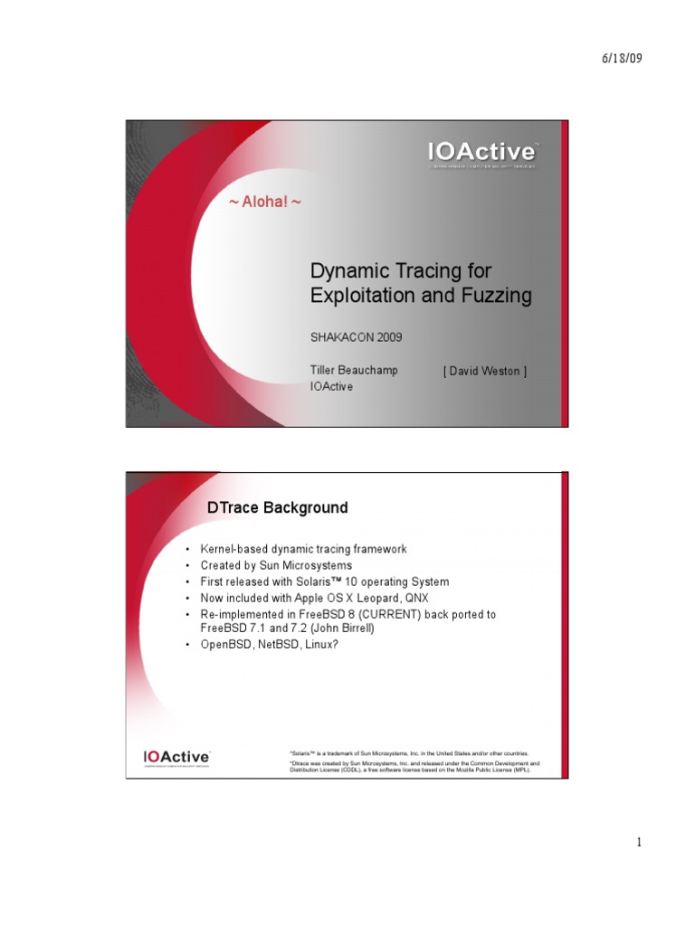 Dynamic Tracing For Exploitation and Fuzzing Final | PDF | Digital Technology | Computer Engineering