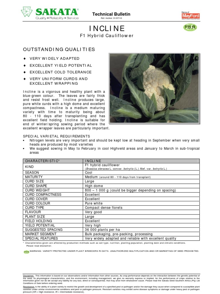 Incline: Outstanding Qualities | PDF | Crop Rotation | Cabbage