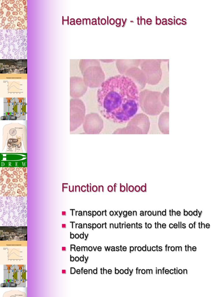 XL22 - Basic Haematology | PDF | White Blood Cell | Red Blood Cell
