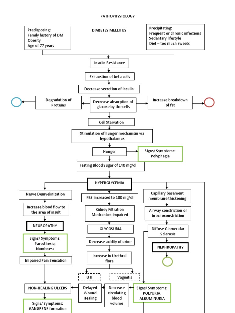 Pathophysiology of Diabetes Mellitus | PDF | Kidney | Renal Function
