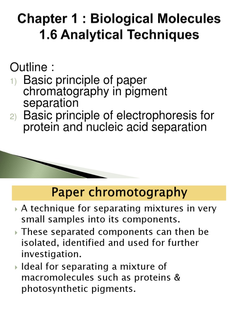 Chromatography and Electrophoresis Basics | PDF | Science & Mathematics