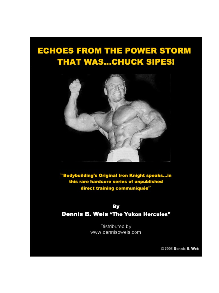Echoes Power Chuck Sipes | PDF | Anatomical Terms Of Motion | Recreation