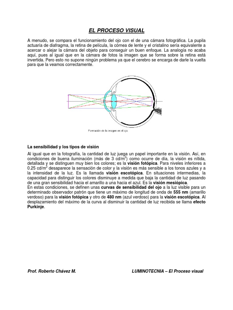 El Proceso Visual | Ojo humano | Percepción visual | Prueba gratuita de ...