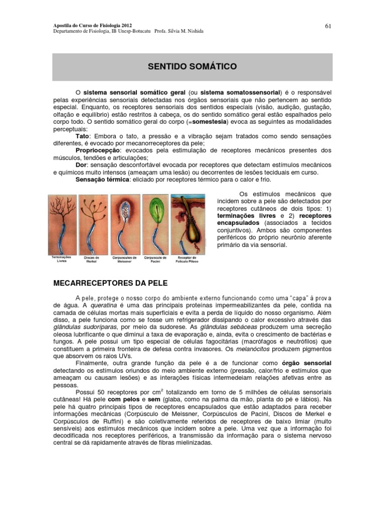 06 Somestesia | PDF | Estímulo (Fisiologia) | Dor