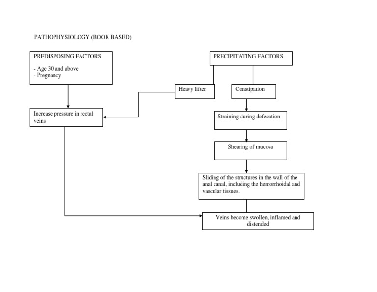 Hemorrhoids Pathophysiology Book Based | PDF | Hemorrhoid | Symptoms ...
