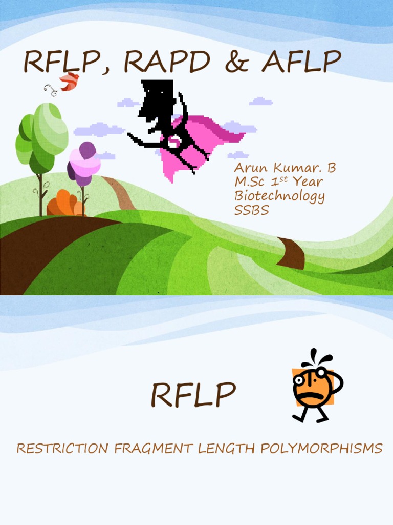 RFLP, Rapd & Aflp | PDF | Primer (Molecular Biology) | Polymerase Chain Reaction