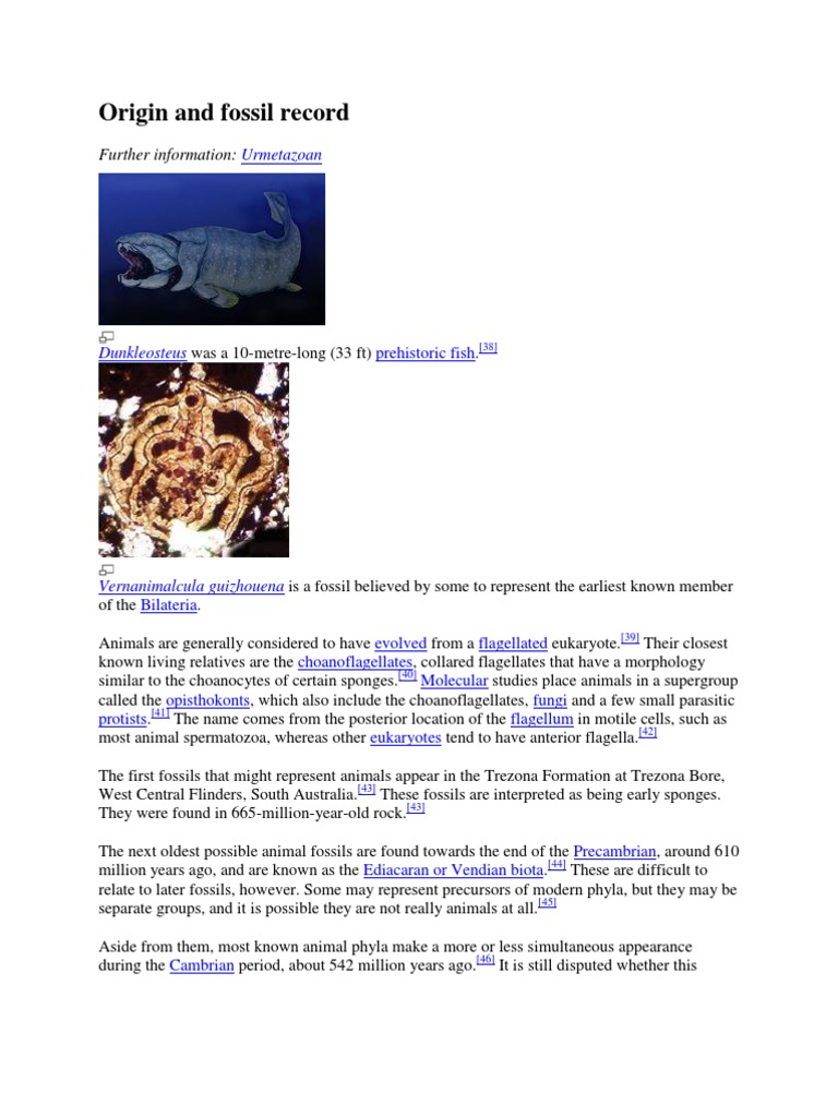 Origin and Fossil Record | PDF | Fossil | Organisms