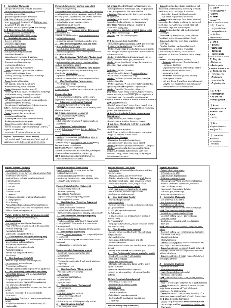Yen Sin LSM 1103 Cheat Sheet | PDF | Mollusca | Zoology