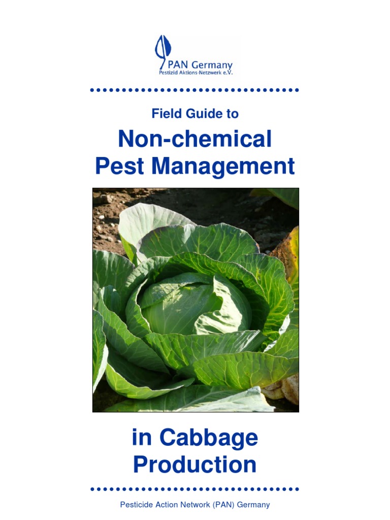 Field Guide to Non-chemical Pest Management in Cabbage Production ...