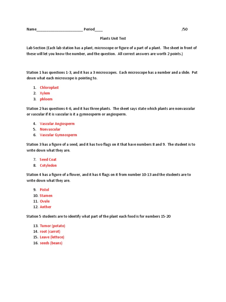 Plant Unit Test | PDF | Plants | Seed