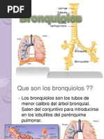 Neumocitos Tipo 1 y 2 - Histologia | PDF