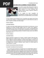 Capishca: Música y Baile Ecuatoriano | PDF | Canciones | Ecuador