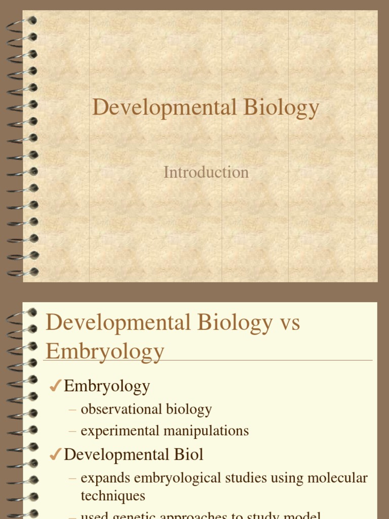 An Introduction to Developmental Biology: From Early Embryology to ...