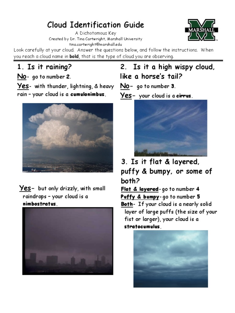 Cloud Identification Guide and Key | PDF