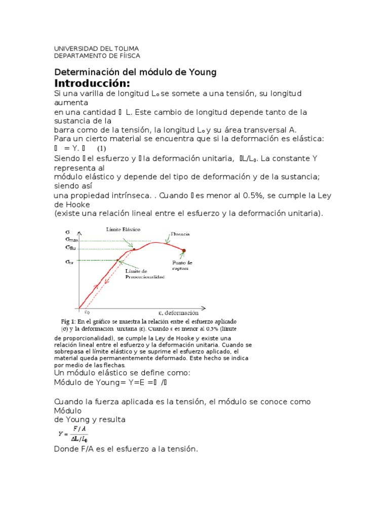 Exp módulo de Young | El módulo de Young | Elasticidad (Física)