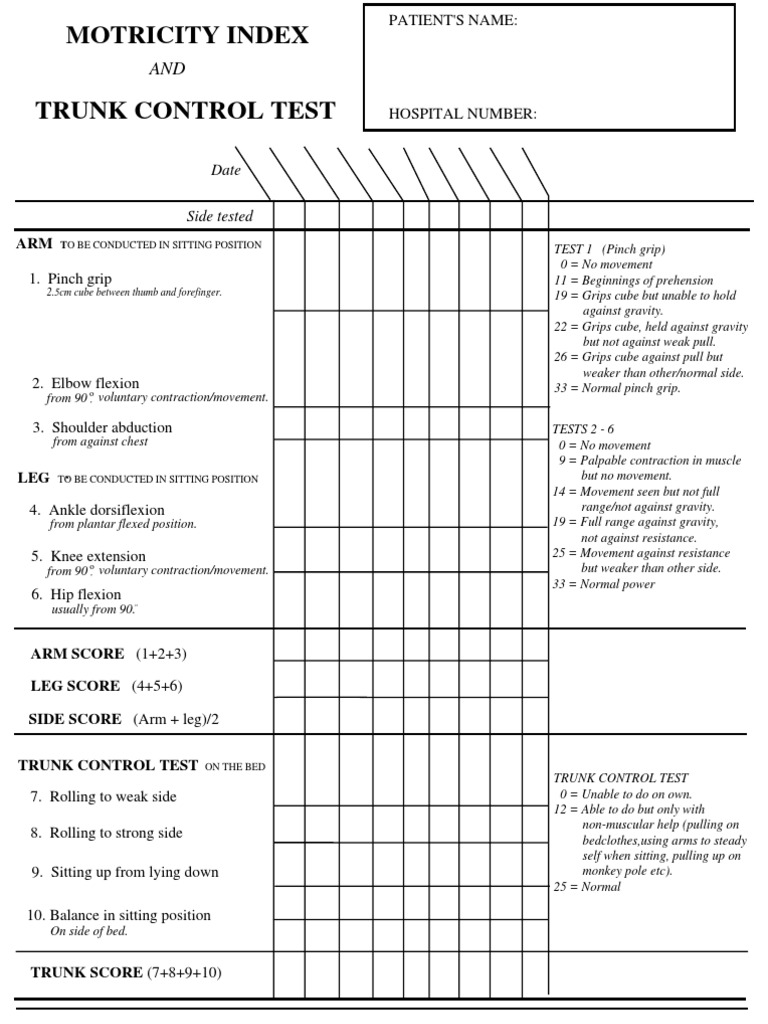 Motricity Index Trunk Control Test
