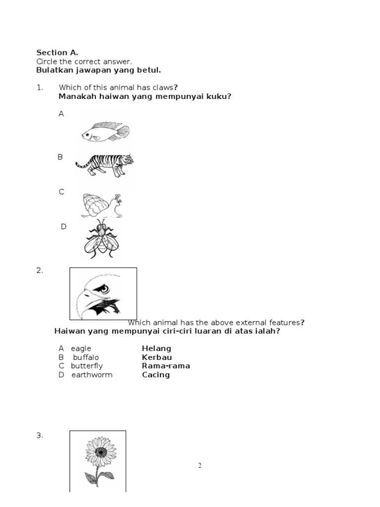 Soalan Sains Tahun 3 | PDF