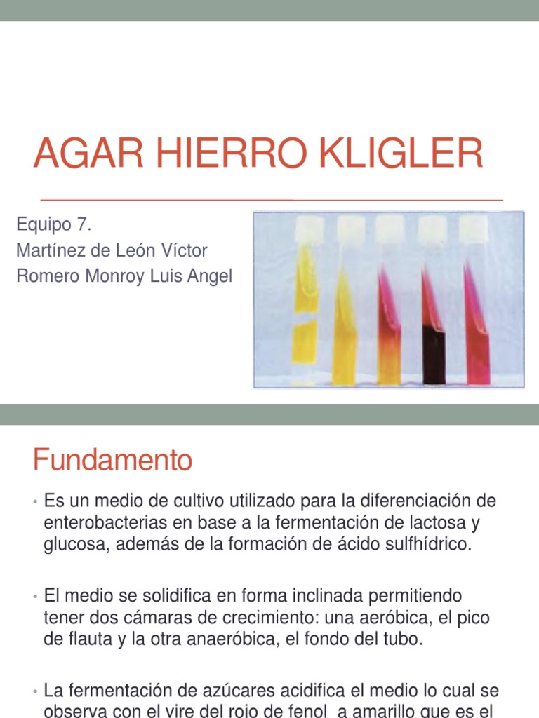 Agar Hierro Kligler | Fermentación | Microbiología