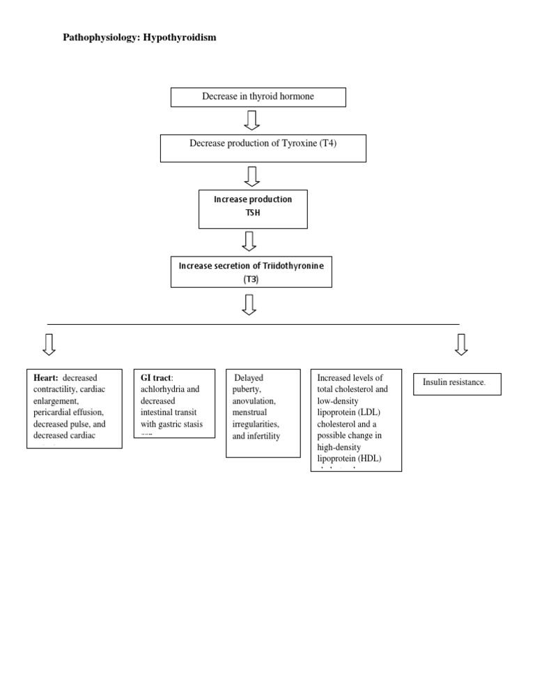 Patho Hypothyroidism | PDF