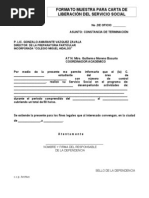 Ejemplo Carta de Liber 25 | PDF