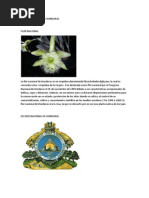 Simbolos Mayores y Menores | PDF | Honduras